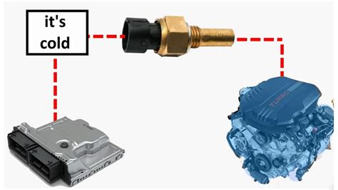 What Does An Coolant Temperature Sensor Do At David Truman Blog