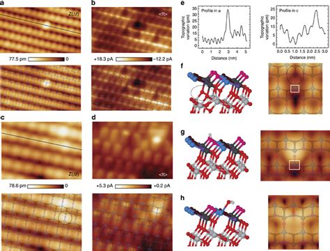 Identification Of Surface Defects At The Tio2101 Anatase Surface A