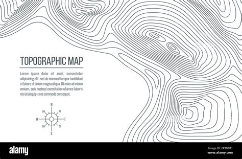 Topographic Map Grid Relief Contour Lines Of Abstract Terrain Vector Background Of Topography
