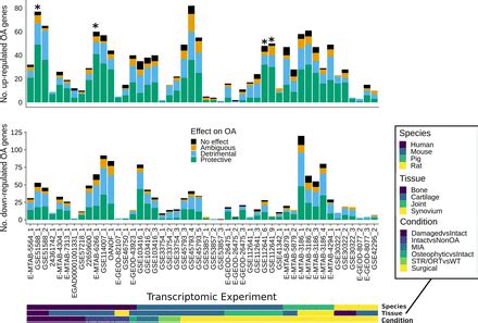 Oatargets A Knowledge Base Of Genes Associated With Osteoarthritis