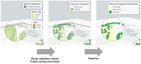 Biodiversity In Cities How Can We Assess The ‘performance Of Urban
