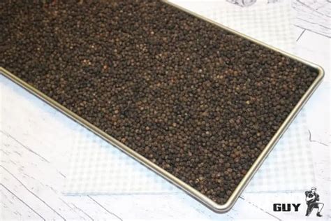 Freeze Drying Turmeric We Turned 100 Lbs Fresh Into Powder