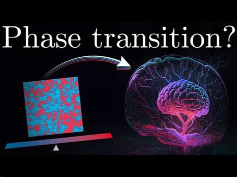 Free Video Brain Criticality Optimizing Neural Computations From