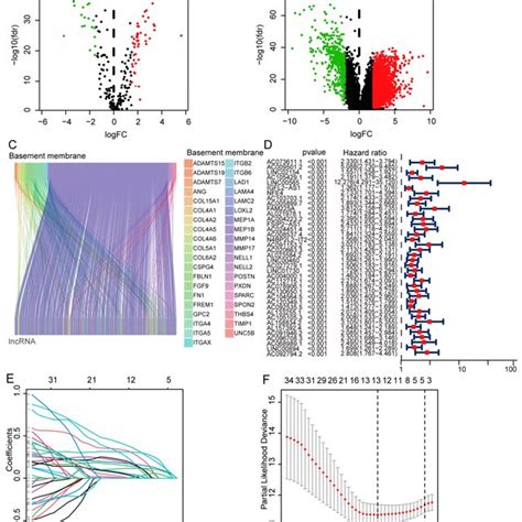 Expression Levels And Lncrna Mrna Network Of Six Basement Download Scientific Diagram