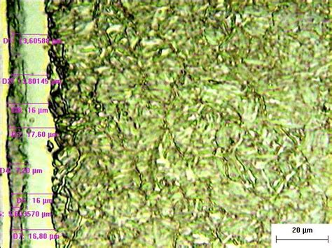 Microstructure Of Nitrided Layer On 42crmo4 Steel Download Scientific Diagram