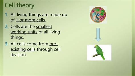Lecture01 Cell Structure And Functionpptx Lecture01 Cell Structure And Functionpptx