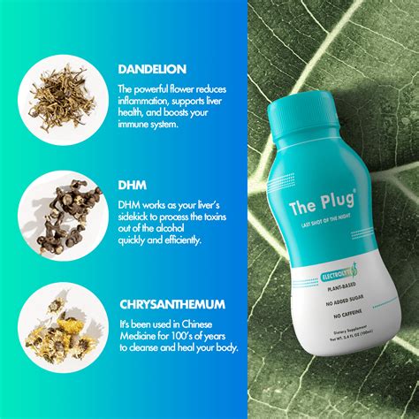 The Plug® Recovery Drink The Plug Drink