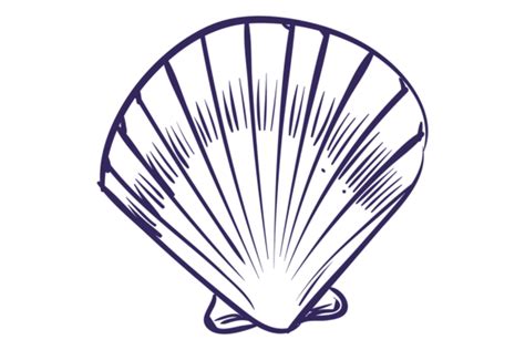 Clam Sketch Closed Seashell In Hand Dra Graphic By Yummybuum