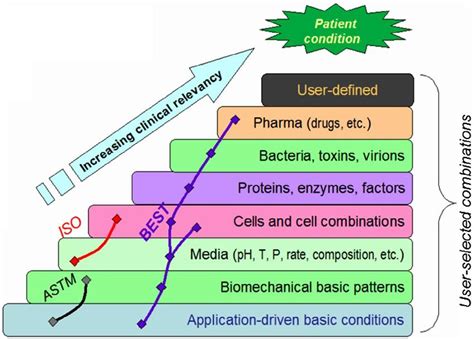 The Concept Of The Biomaterials Enhanced Simulation Testing [80 82