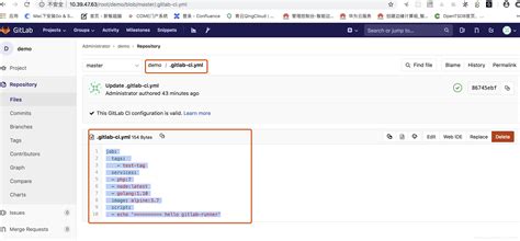 Gitlab Cicd 二系列之安装git Runner Rpm安装方式gitlab Metrics Are Disabled Csdn博客