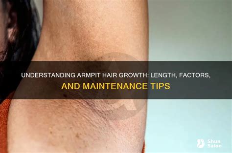 Understanding Armpit Hair Growth Length Factors And Maintenance Tips