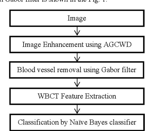 Figure 1 From Glaucoma Detection Using Wavelet Based Contourlet Transform Semantic Scholar