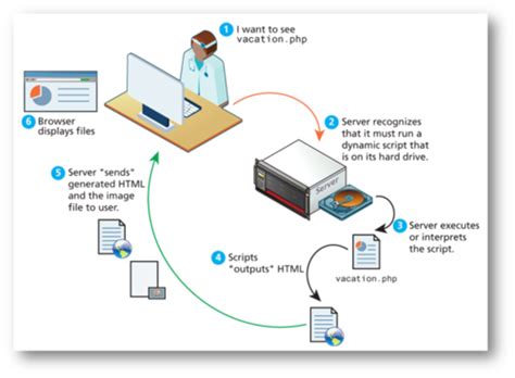 Quiz 1 And 2 Flashcards Quizlet