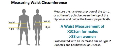 Waist Circumference Body Mass Index And Waist Size Help Evaluate