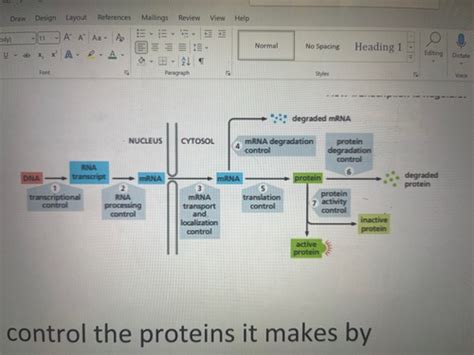 Bio Exam Chapter Flashcards Quizlet