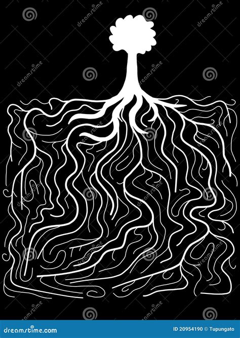 Nature Complexity Stock Vector Illustration Of Connections 20954190