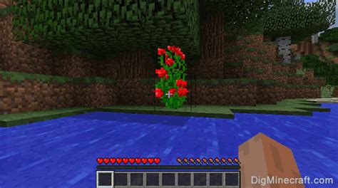 How To Make A Rose Bush In Minecraft