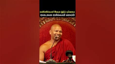 සත්වත්වයෙන් මිදෙන බුදු දර්ශනය ඇත නැත අන්තයෙන් තොරයි පූජ්‍ය නිවාතාප හිමි ධර්මයයි ඔබයි පහුර
