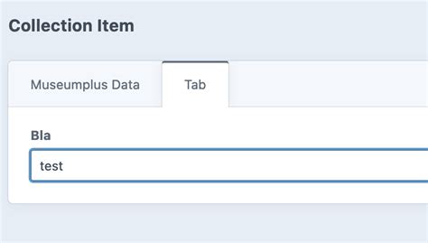 4 X Validation Of Element Always Fails If Custom Fields Are Set