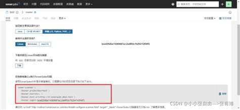 配置sonarqube的全过程 sonarqube配置 csdn博客