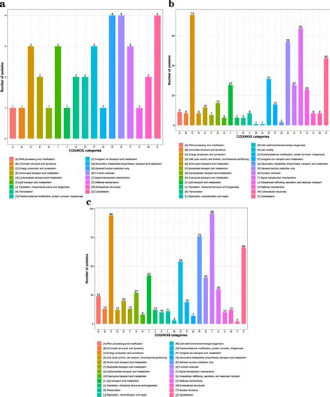 The Functional Classification Chart Of Differential Abundance Proteins Download Scientific