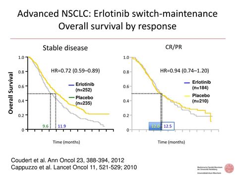 Ppt Advanced Nsclc Treatment Algorithms 2014 Powerpoint Presentation Id 5747879