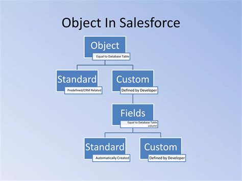 Data Model In Salesforce Pptx