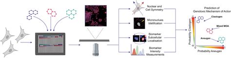 Representation Of High Throughput Screening Approach And Methodologies