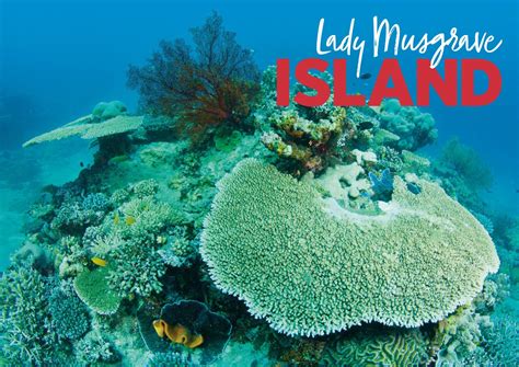 Lady Musgrave Island