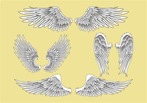 추상적 인 벡터 일러스트 레이 션 날개 세트 Svg Eps Uidownload