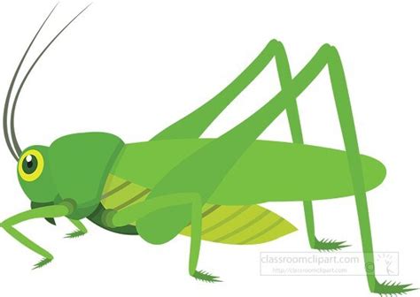 Insect Clipart Green Grasshopper Insect Clipart