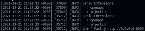 Bug `sanic Ext` Seems To Be Instantiated Twice When Running In Debug Mode · Issue 25 · Sanic