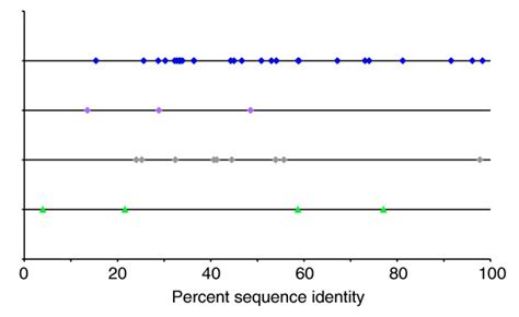 Percent Of Sequence Identity Between The 41 Duplicated Protein Pairs Download Scientific