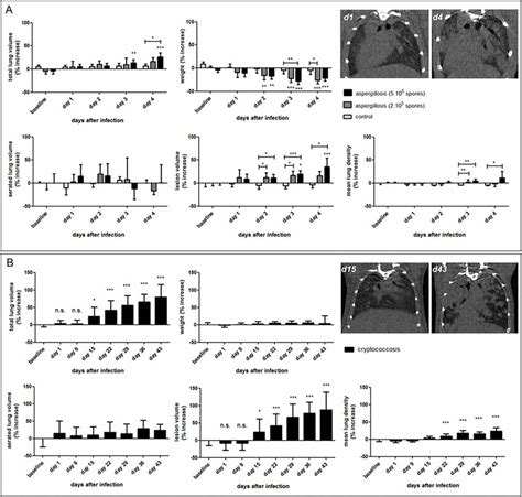 Longitudinal In Vivo Lung Biomarkers Quantified For Mice With Rapidly Download Scientific