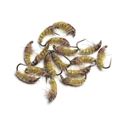 Scud Nymph Fly 5 Hydropsyche