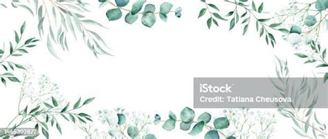 꽃 수채화 배너입니다 녹색 유칼립투스 피스타치오 및 Gypsophila 가지가 흰색 배경에 격리되어 있습니다 소박한 낭만적 인