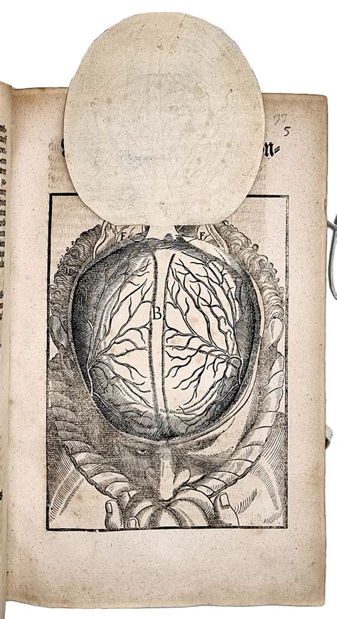 Bartisch Georg Sokol Books