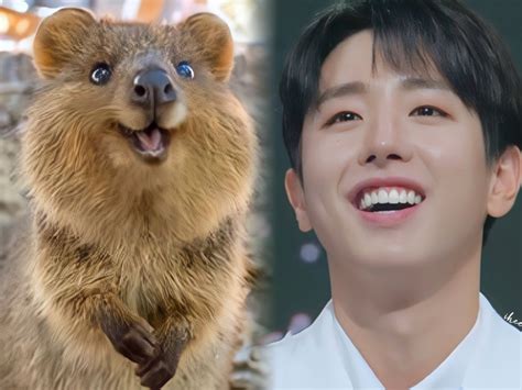 Angel P Angge Dt Twitter