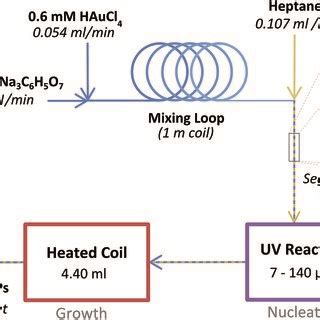 Schematic Of Reactor Setup Used Download Scientific Diagram