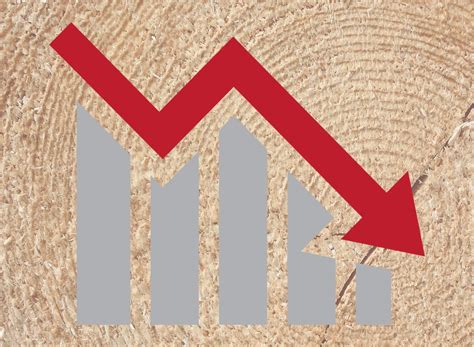 Massive Decrease In Softwood Log Exports