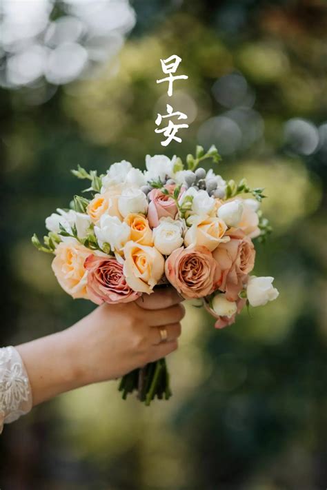 佛系经典早安图片，早上好唯美句子送给你 知乎