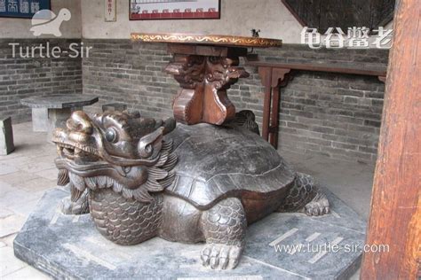 龟谷鳖老之三言对联 黄缘闭壳龟养殖场 星点水龟 潘氏闭壳龟 龟谷鳖老官网