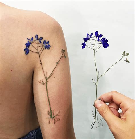 식물타투 유머 움짤 이슈 에펨코리아