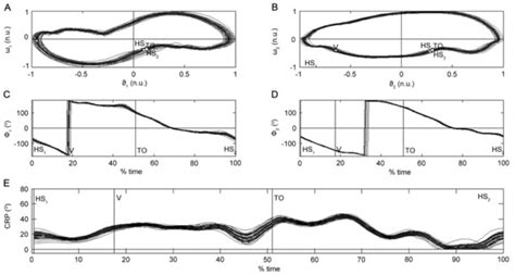 Example Of Crp Calculation28 The Normalized Phase Plots Angular Download Scientific Diagram