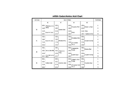 M Rna Codon Chart Mrna Codon Amino Acid Chart First Base Second Base Third Base U C A G Uuu