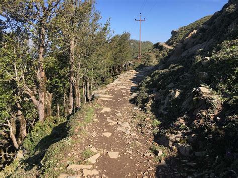 Shikari Devi 2 Lost In The Kamrunag Trek Traveler Tree