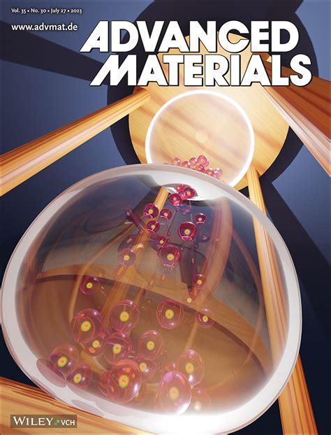 Microenvironment‐activated Nanozyme‐armed Bacteriophages Efficiently Combat Bacterial Infection