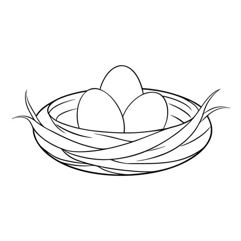 Black Outline Illustration Bird Nest For Coloring Page 48428570 Vector