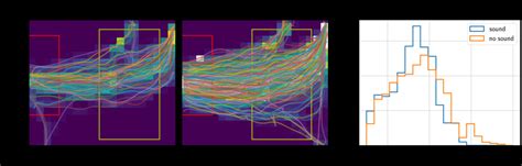 Comparison Of The Experimental Trajectories Of Pedestrians Entering Download Scientific Diagram