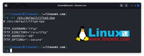 如何在 Linux 上设置 Tftp 服务器 Linux迷 如何在 Linux 上设置 Tftp 服务器 Linux迷